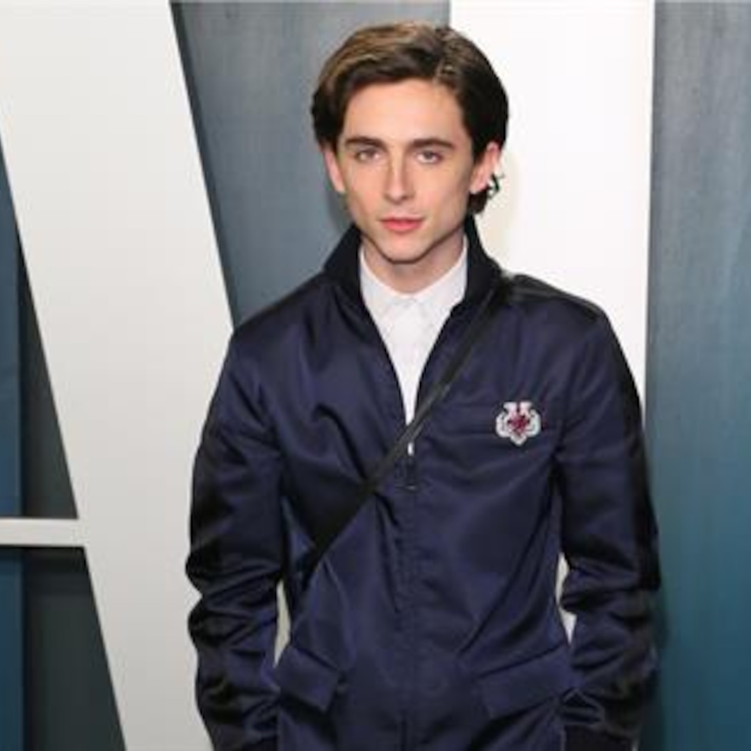 Timothee Chalamet, Billie Eilish & More to Co-Chair 2021 Met Gala Timothee Chalamet, Billie Eilish & More to Co-Chair 2021 Met Gala